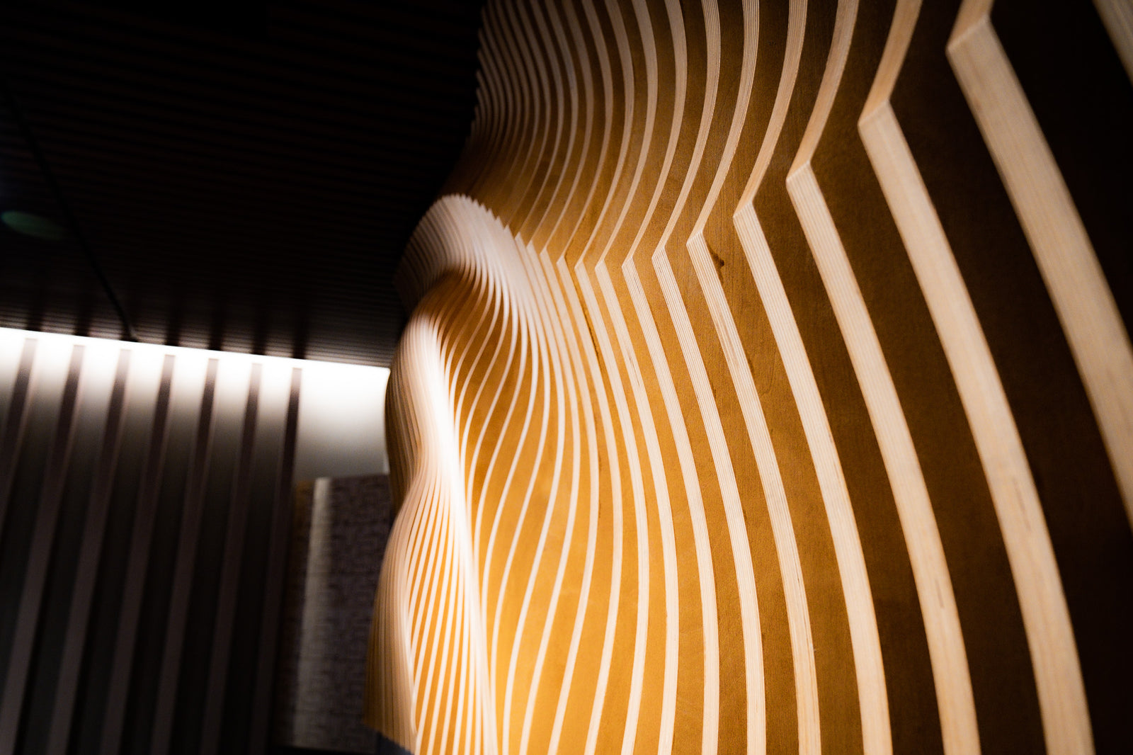 Custom Acoustics Solutions | Audio Connection Australia