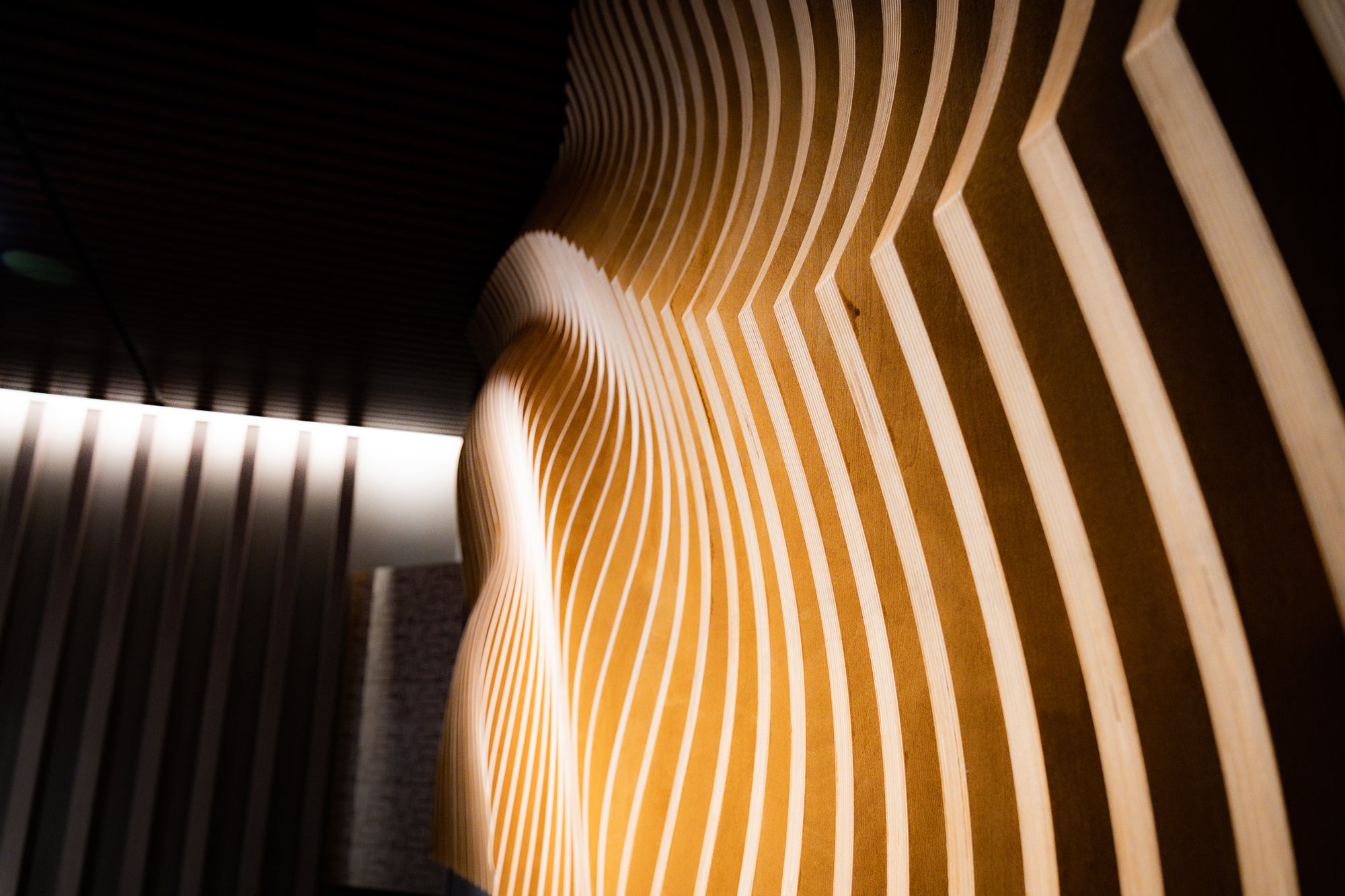 Custom Acoustics Solutions | Audio Connection Australia